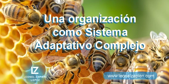 Una organización como Sistema Adaptativo Complejo - Leonel Zapien Lopez